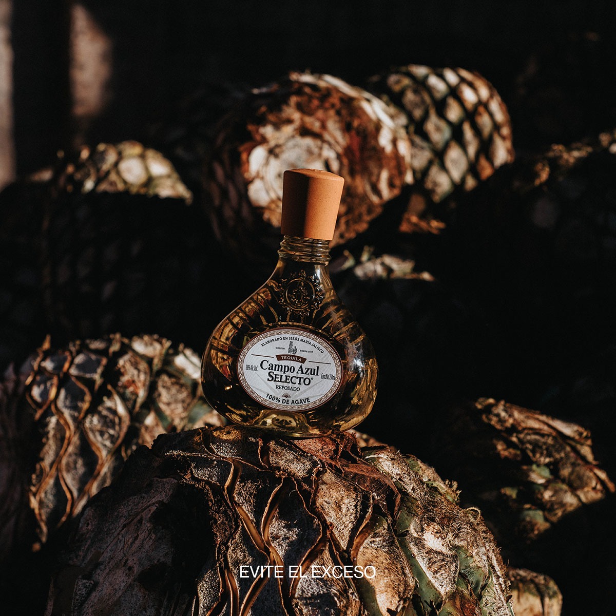 Sal, Limón y Tequila Campo Azul – Expreso Charro